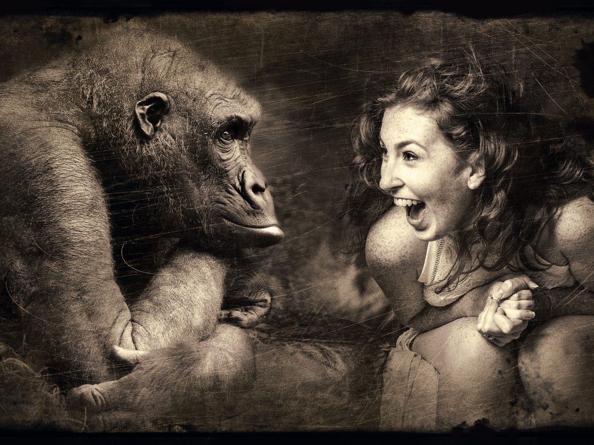 Tier und Mensch im Vergleich – Schülerzeitung